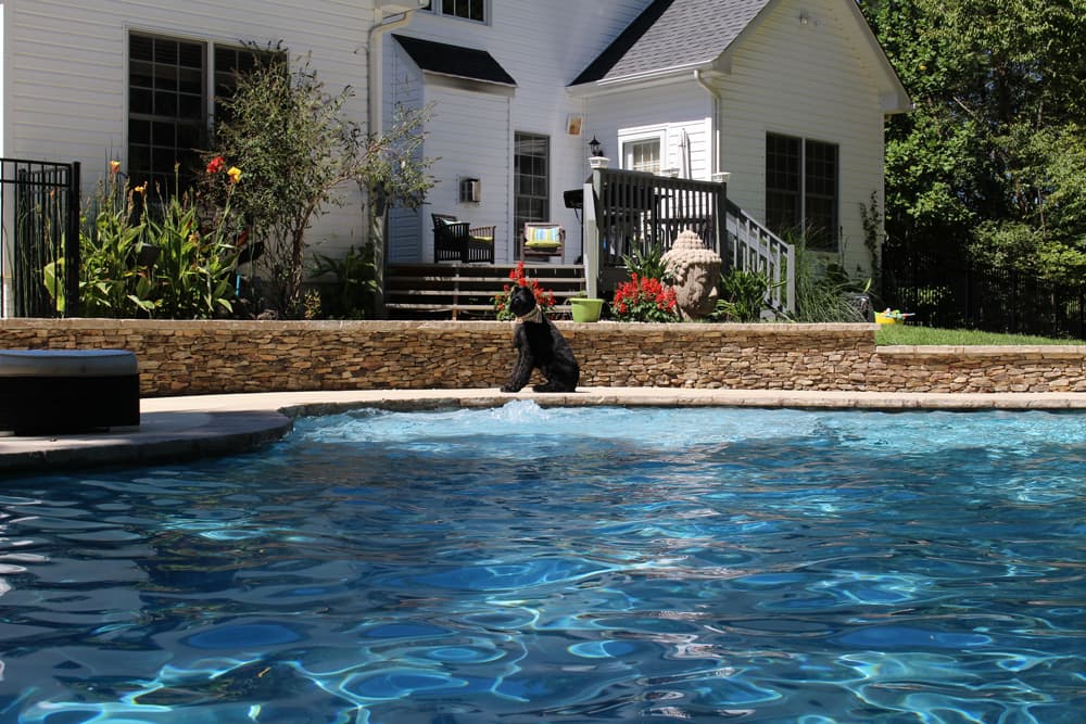 Freeform Swimming Pool Project | The Pool Company Construction