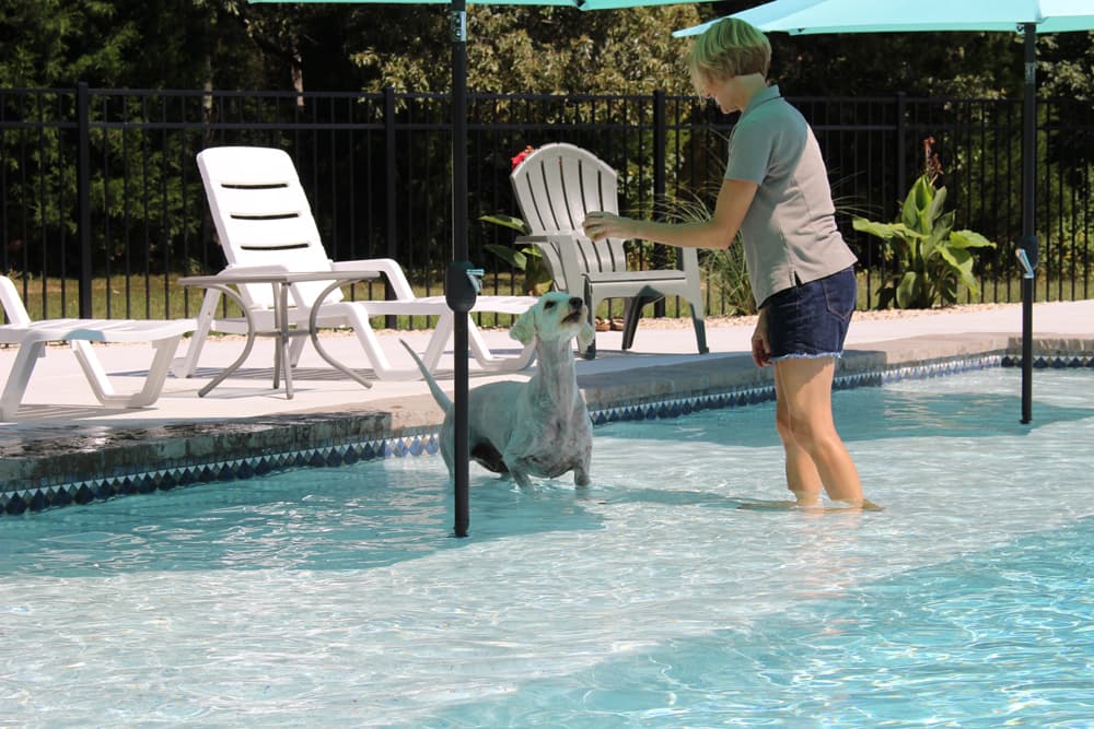 Swimming Pool with Sun Shelf | The Pool Company Construction